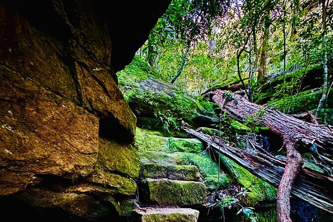 Trek Shoot and Soothe Hiking Tour from Springwood Blue Mountains - The Itinerary: What to Expect