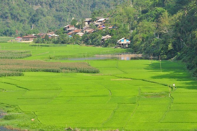 Trekking In Ba Be National Park 3 Days - Practical Tips for Travelers