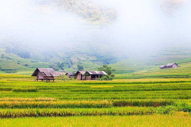 Trekking In Mu Cang Chai 3 Days - A Closer Look at the 3-Day Mu Cang Chai Trek