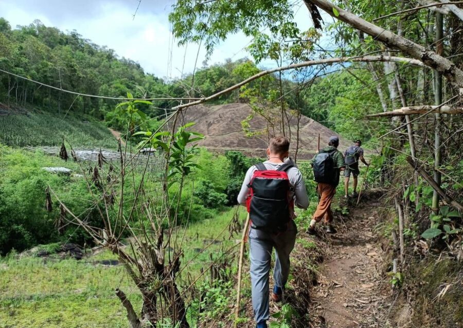 Trekking One Day with Elephant Care + Bamboo Rafting - Detailed Breakdown of the Itinerary