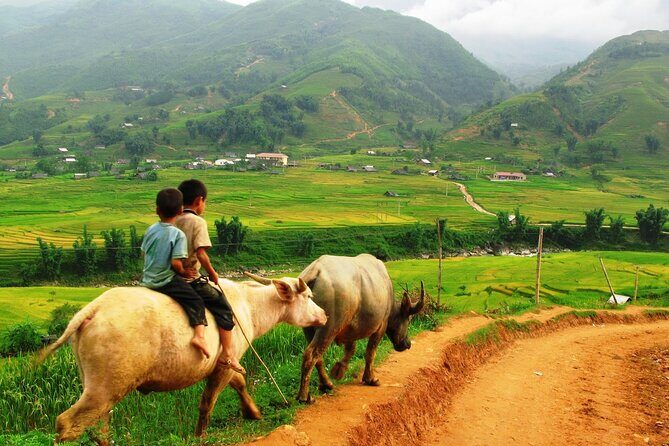 Trekking to Ta Phin, pick medicinal leaves and herbs. - What You Can Expect From This Tour