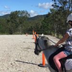 Trevena Glen 1hr Animal Tour - Why You Should Consider This Tour