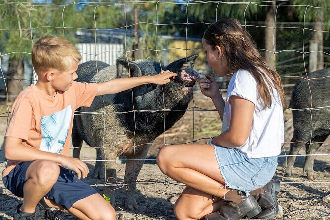 Trevena Glen Farm Animal Experience - FAQs