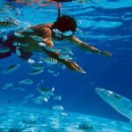 Trincomalee: Snorkeling Adventure with Whales - Who Will Love This Tour?
