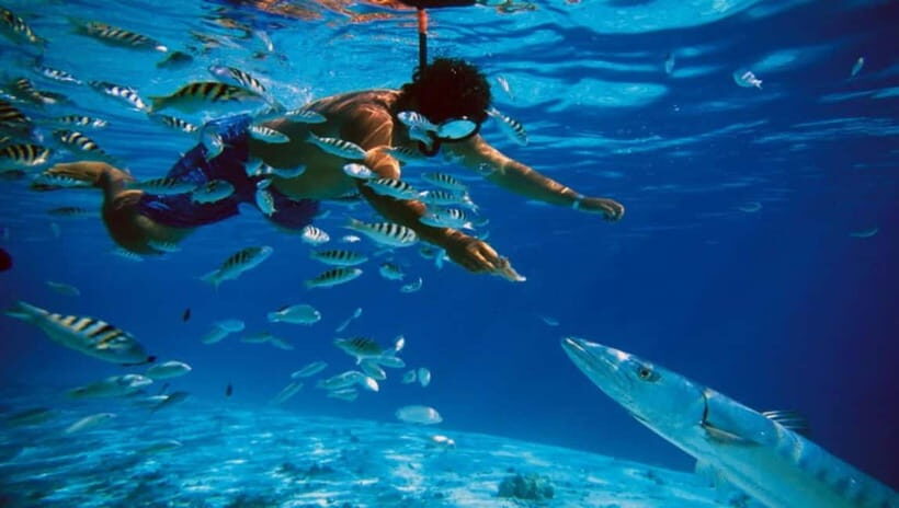 Trincomalee: Snorkeling Adventure with Whales - Who Will Love This Tour?