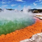 TRIPLE DEAL Wai-O-Tapu, Redwood Forest & Blue Springs Ex Auckland - Redwood Forest: Towering Trees and Forest Walks