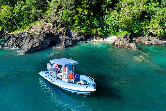 Tropical Dunk Island Half Day Activity from Mission Beach - The Sum Up