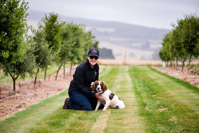 Truffle Hunt and Taste Experience in Oberon, NSW Australia - The Hunt Begins: Following the Dog
