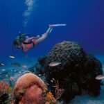Try Scuba Diving in Racha Yai/noi: 3 Dives for Non-Certified - The Dive Experience: Safety Meets Adventure