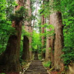 Tsuruoka & Dewa-Sanzan Private Tour with Licensed Guide - The Sacred Dewa-Sanzan and Its Significance