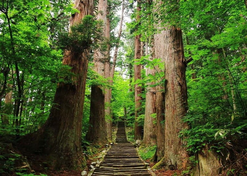 Tsuruoka & Dewa-Sanzan Private Tour with Licensed Guide - The Sacred Dewa-Sanzan and Its Significance