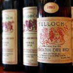 Tulloch Wines- Tasting of 6 Pokolbin Dry Red Shiraz Vintages with Charcuterie - The Practicalities: What Travelers Should Know