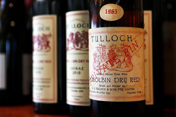 Tulloch Wines- Tasting of 6 Pokolbin Dry Red Shiraz Vintages with Charcuterie - The Practicalities: What Travelers Should Know
