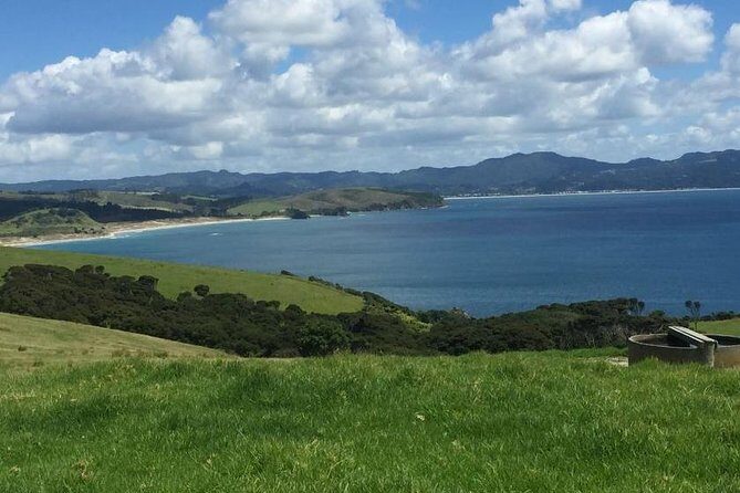 Twharanui- Get away from it all and experience New Zealand at its best - private tour - What Travelers Are Saying