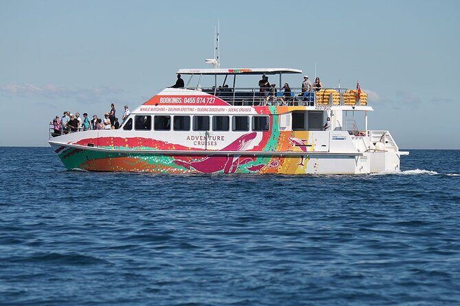 Twilight Bay Cruise in Hervey Bay - The Balance of Value and Experience