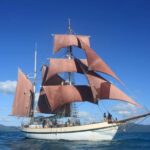Twilight Dinner Cruise on Coral Trekker - The Twilight Setting: A Visual Feast