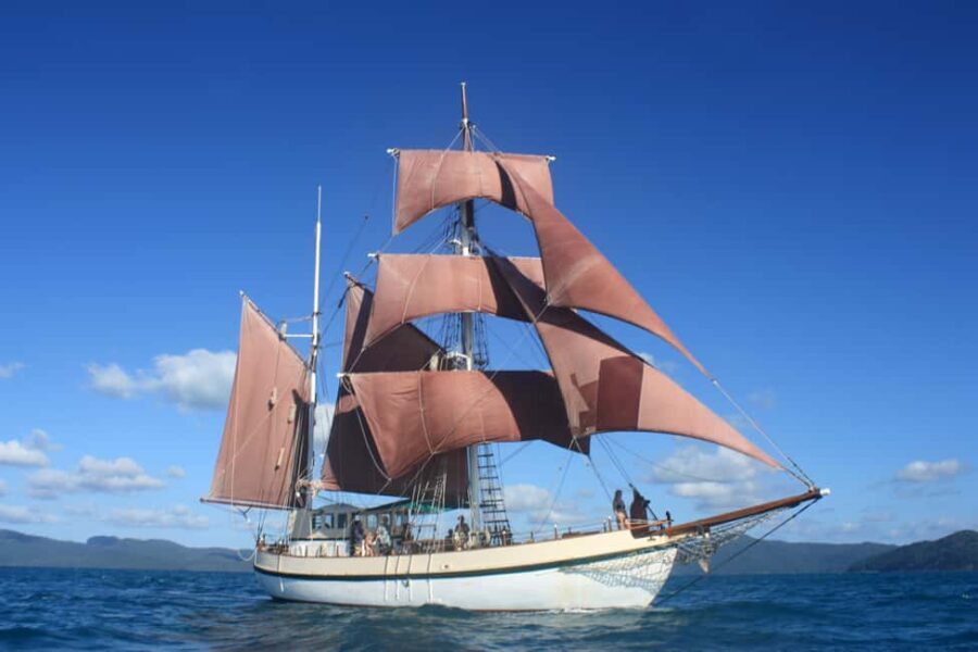 Twilight Dinner Cruise on Coral Trekker - The Twilight Setting: A Visual Feast
