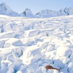 Twin Glacier Fox and Franz, Snow Landing (allow 30 mins - departing Fox Glacier) - Who Will Love This Tour?