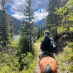 Two-day tour to Charyn, Kolsai and Kaindy - What Sets This Tour Apart?