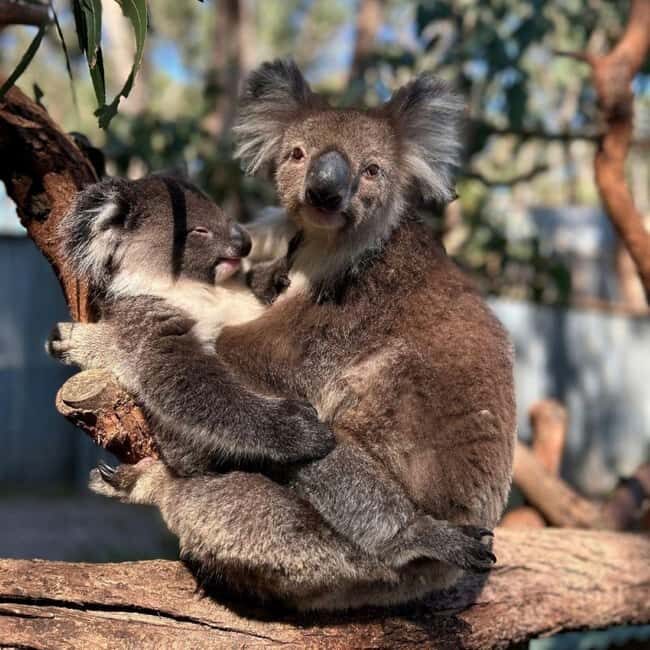 Tynong/Melbourne: Gumbuya World Theme Park Entry Ticket - A Detailed Breakdown: Why the Attractions Matter