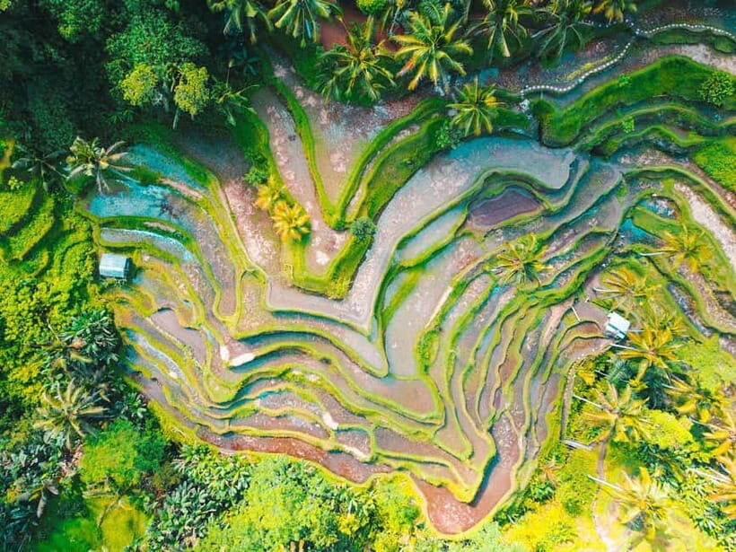 Ubud 3-in-1: Swing, Zipline & SkyBike Adventure - What to Expect During the Tour