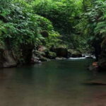Ubud: Bayad Village, Waterfall and Cave Trek Adventure - Authentic Experiences and Traveler Feedback