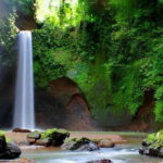 Ubud - Best Waterfall Tour & Bali Swing - Who Will Enjoy This Tour?