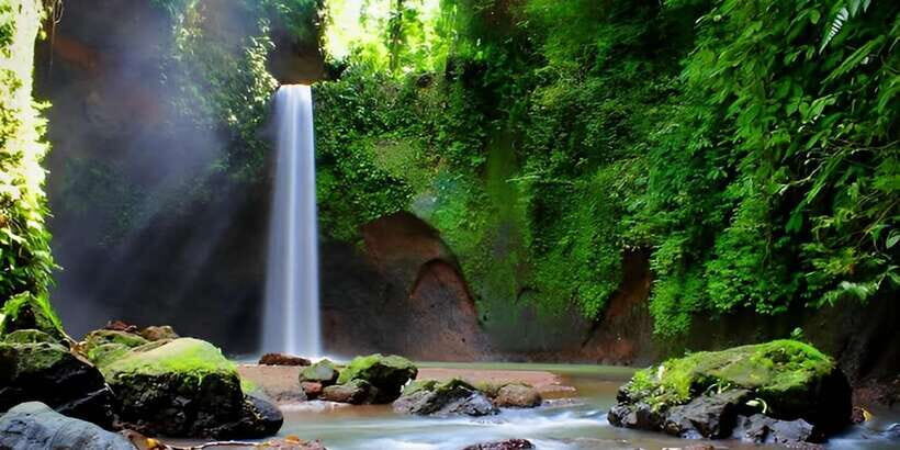 Ubud - Best Waterfall Tour & Bali Swing - Who Will Enjoy This Tour?