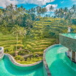 Ubud: Cretya Infinity Pool, Hidden Waterfall & Water Temple - A Practical Introduction to the Tour