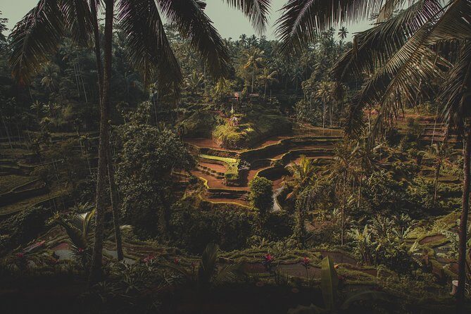 Ubud Guided Tour & Iconic Tanah Lot Temple - Who Will Enjoy This Tour Most?