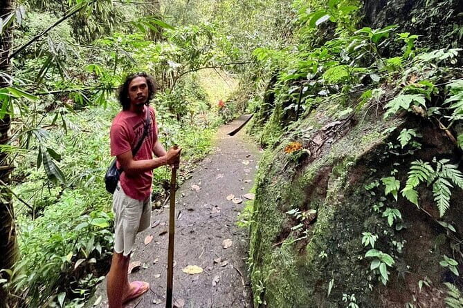 Ubud Highlights Full-Day Tour - Small Group - Practical Tips for a Smooth Day