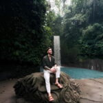 Ubud Highlights Private Tour  Full Day or Half Day Option - What to Expect During the Tour