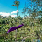 Ubud iconic waterfall tour - The Sum Up