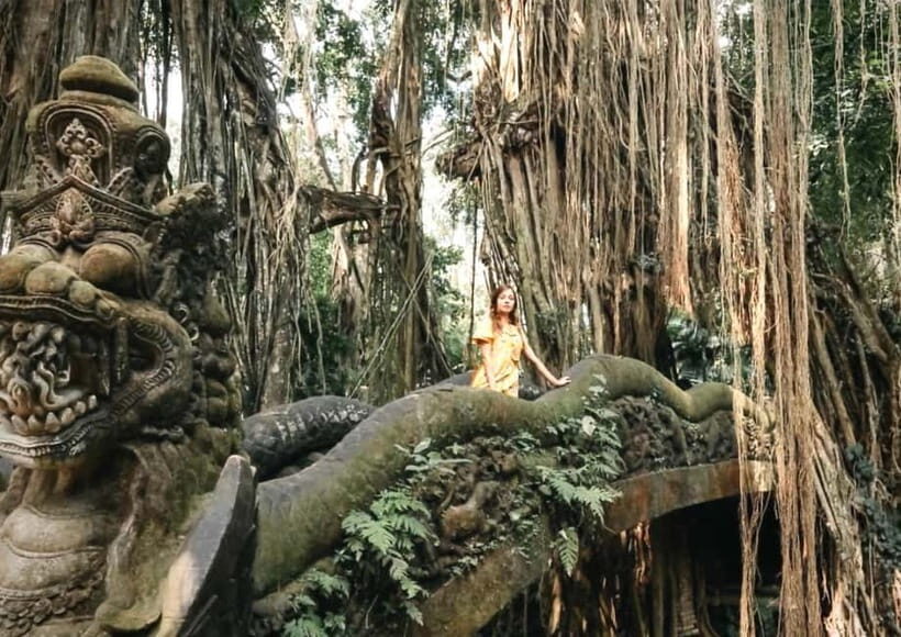 Ubud: Monkey Forest, Waterfall, and Rice Terrace Tour - Analyzing the Value