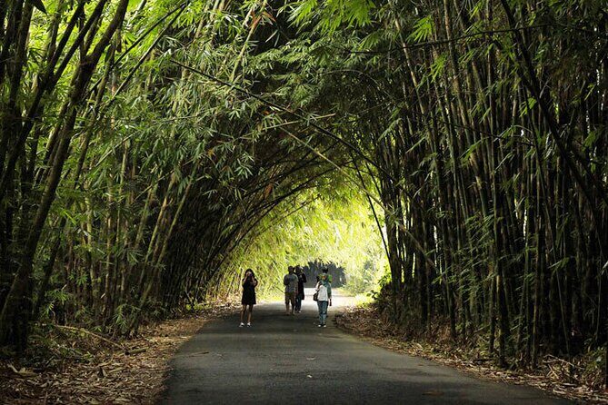 Ubud Nature Waterfall Tour - The Experience: What You Can Expect