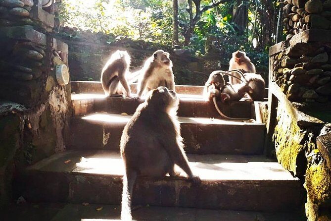Ubud Private Customized Tour - FAQ