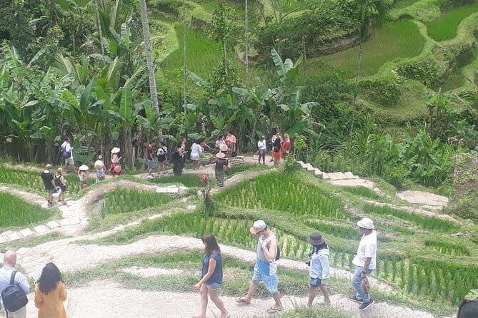 Ubud Romantic Floating Lunch Jungle Swing and Waterfall - Overview of the Tour Experience