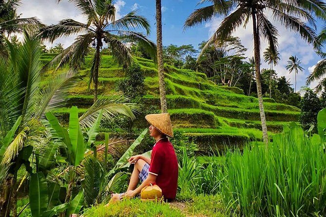 Ubud-Tanah Lot Temple Package Tour - Additional Details and Practical Insights