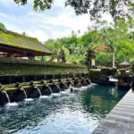 Ubud Tour with Optional English, Spanish and Italian Guide - What It Means for You