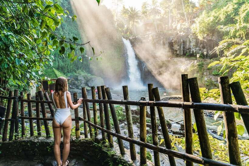 Ubud: Waterfall, Rice Terraces & Monkey Forest Private Tour - Who Would Love This Tour?