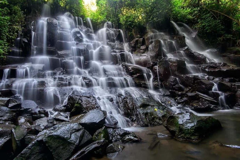 Ubud Waterfalls and Rice Terrace private Tour - Itinerary Breakdown: What You’ll Experience