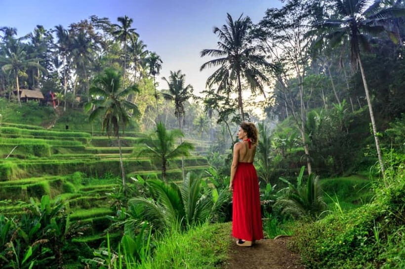 Ubud: Waterfalls & Temple with Rice Terrace Small-Group Tour - FAQs