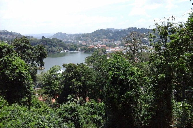 Udawatte Kele Santuary with Nature Walk from Kandy - Price and Value Analysis