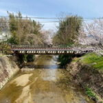 Uji: Tea Ceremony, Calligraphy, and Tea Field Walking Tour - Is It Worth the Price?