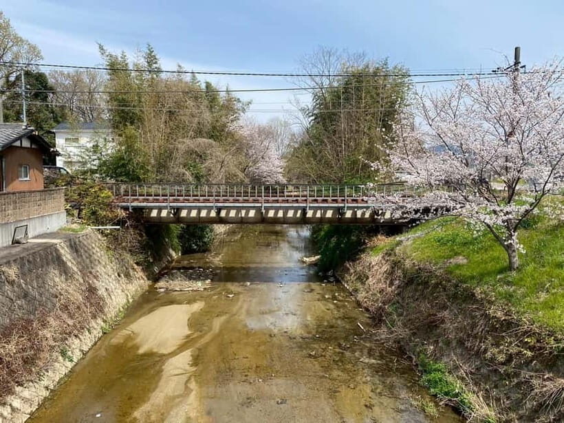 Uji: Tea Ceremony, Calligraphy, and Tea Field Walking Tour - Is It Worth the Price?