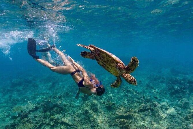 Ukulhas Tour C - Snorkeling & Island Hopping Tour - Final Thoughts