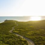 Ultimate Buggy Tour in Kangaroo Island - The Itinerary Breakdown