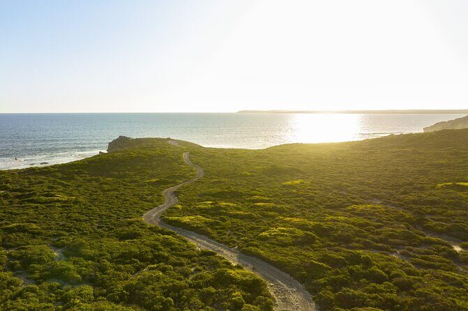 Ultimate Buggy Tour in Kangaroo Island - The Itinerary Breakdown