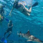Ultimate Encounters Package - 2 Days | 1 Night - Transportation & Logistics