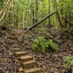 Ultimate Guam Self-Guided Driving Tour - What the Reviews Say